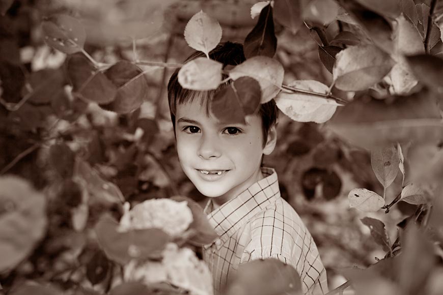 afternoon in the orchard - Shea Mayberry Photography